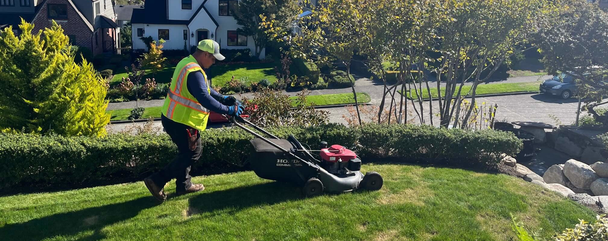 Landscape and Lawn Maintenance Services | West Edge Landworks | Seattle ...